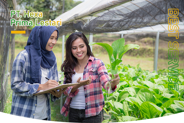 Konsultan Pertanian – PT. Hexa Prima Lestari