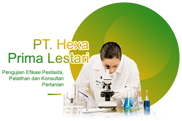 PT. Hexa Prima Lestari – Pengujian Efikasi Pestisida, Pelatihan dan ...